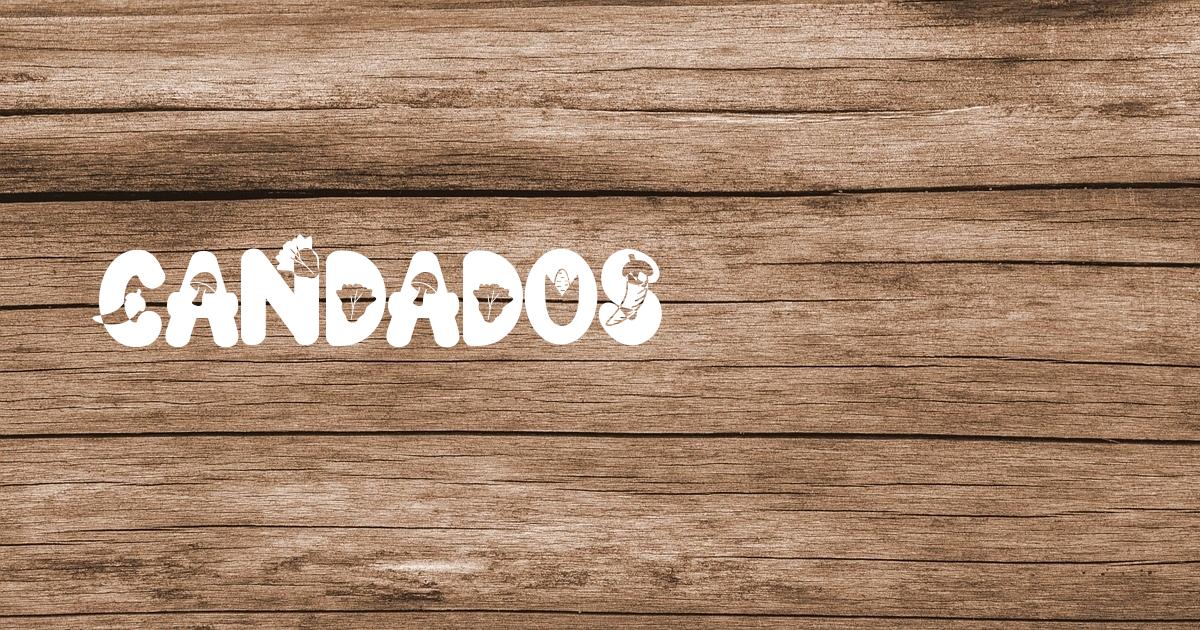 Candados blancos para seguridad en bricolaje - ¡Protege tus ...